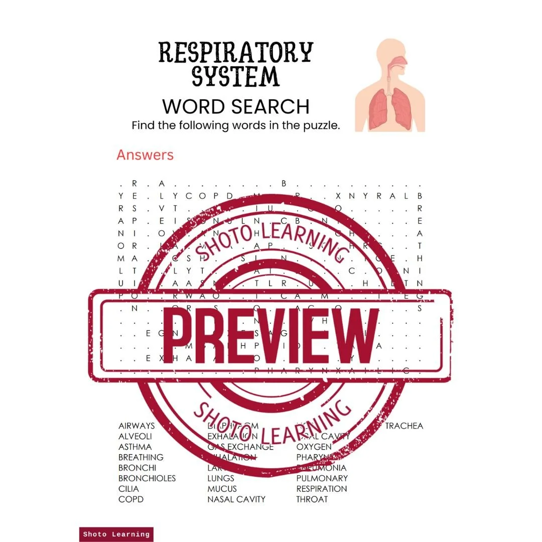 Respiratory System Poster: Learn Anatomy & Function | Free Download