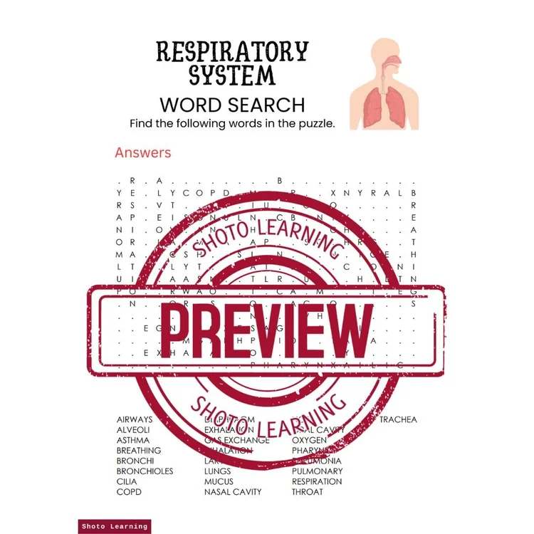 Respiratory System Diagram: Fill in the Blanks and Learn