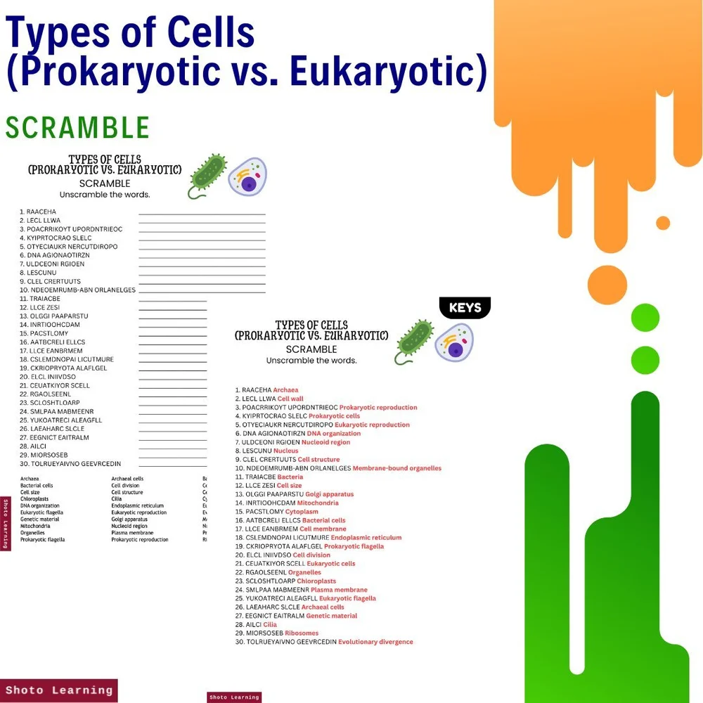 Grade 6 Cell Types – Reading & Comprehension Activity