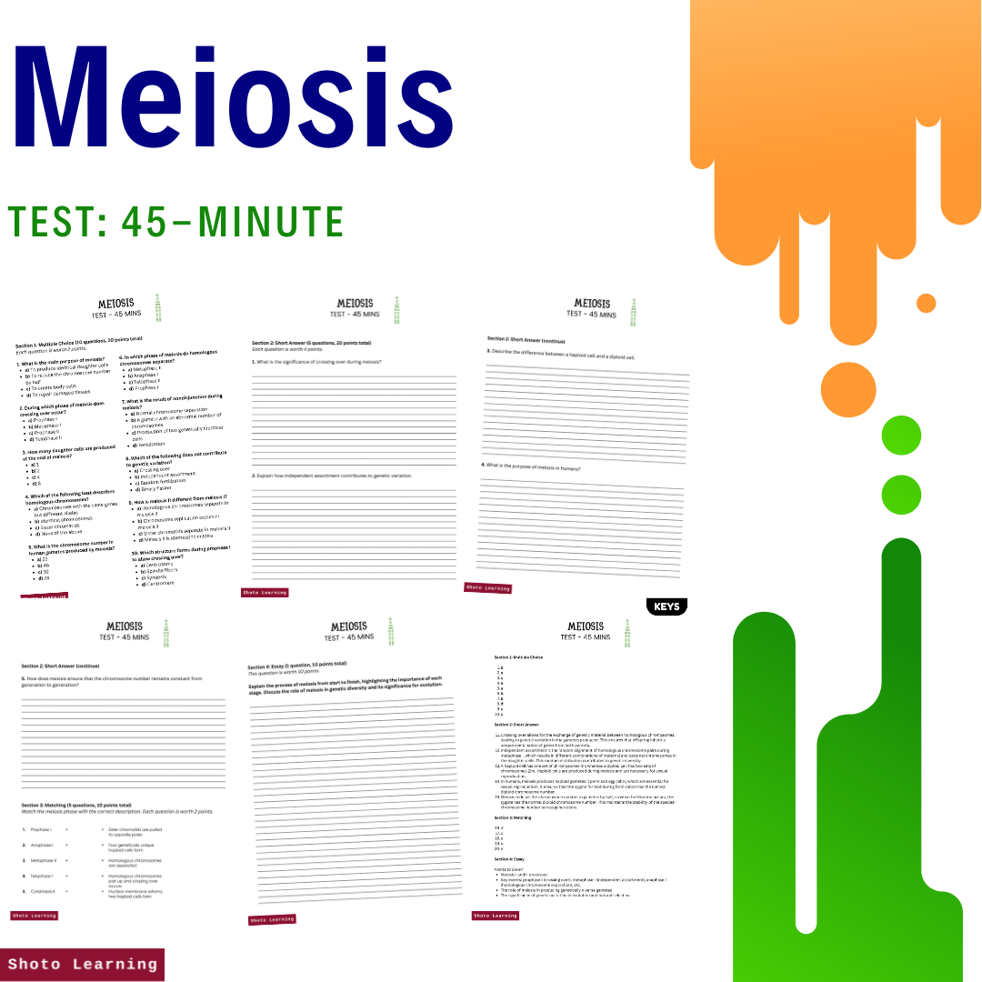 Meiosis Reading Comprehension Worksheet | 5 Key Questions & Answers