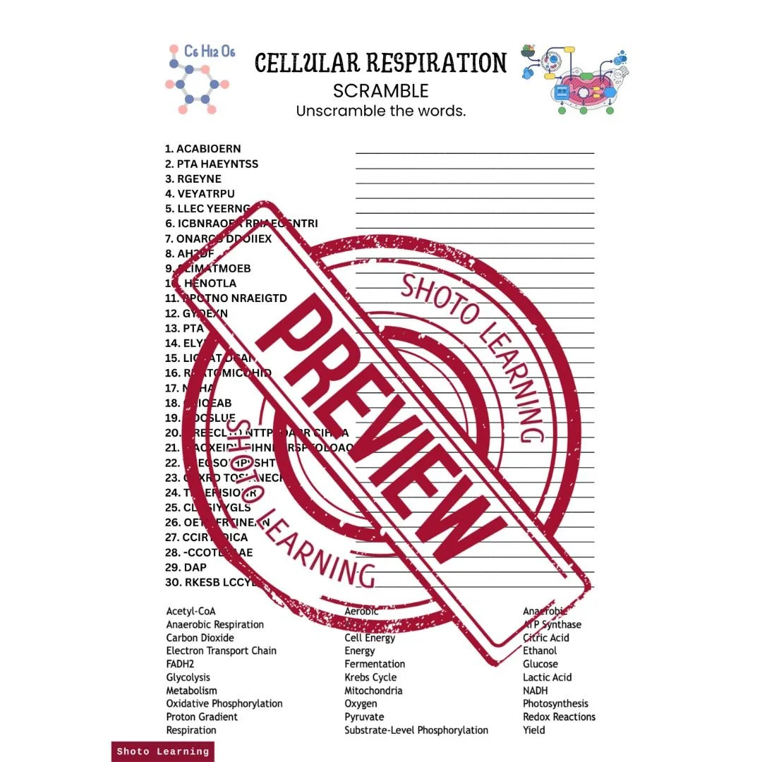 Cellular Respiration Label Worksheet | Word Box & Answer Key