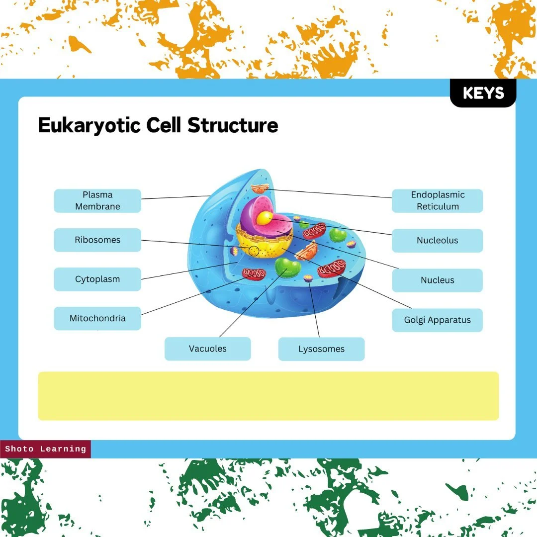 Cell Organelles Word Search Puzzle – Fun Cellular Biology Learning