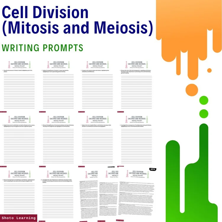Mitosis vs Meiosis Poster: Visual Guide to Cell Division
