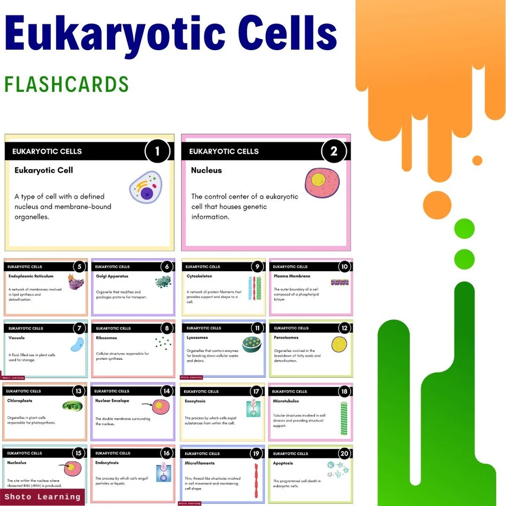 Eukaryotic Cell Word Search Worksheet - Fun & Educational