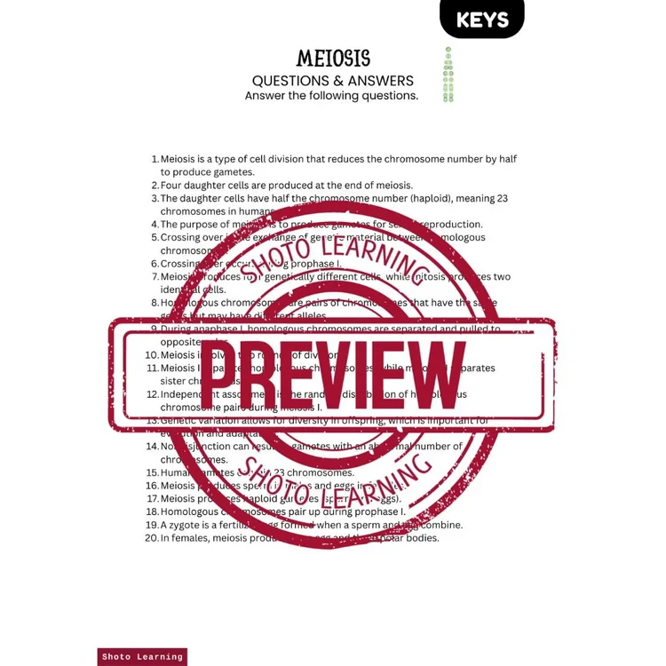 Meiosis Worksheet: 20 Fill-in-the-Blank Questions + Answer Key