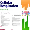 Cellular Respiration Label Worksheet | Word Box & Answer Key