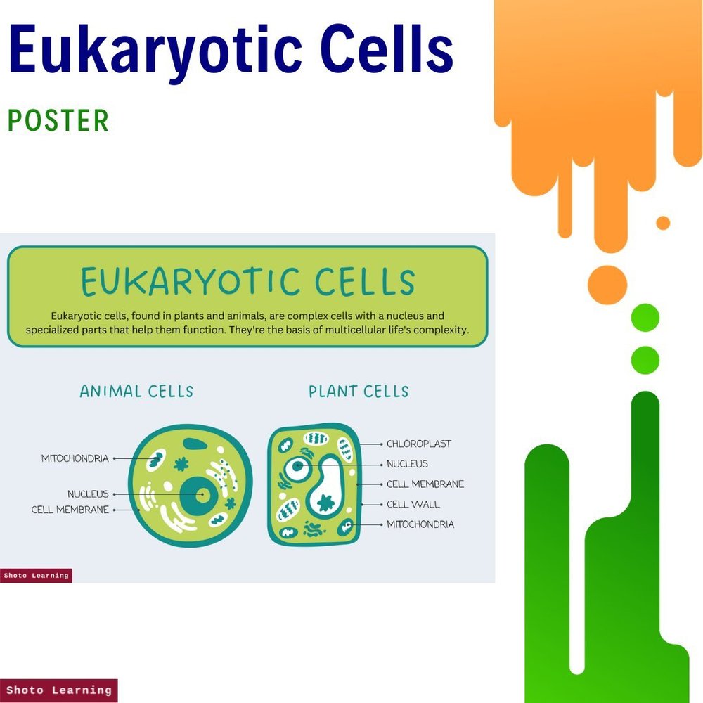 Eukaryotic Cell Word Search Worksheet - Fun & Educational
