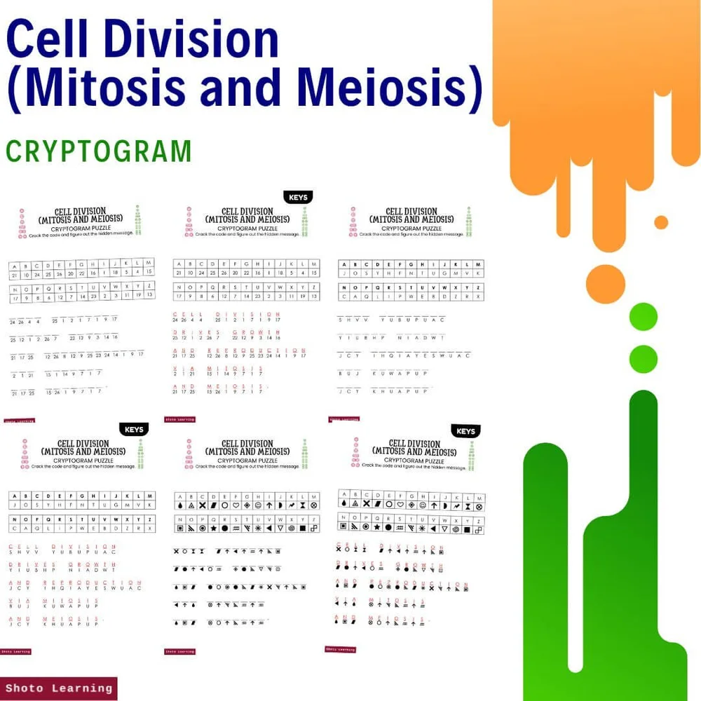 Cell Division Mastery Worksheet Bundle: Mitosis & Meiosis