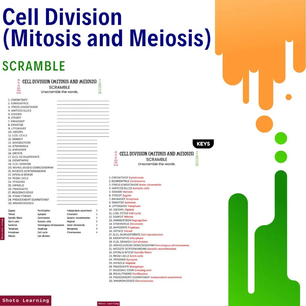 Mitosis vs Meiosis Poster: Visual Guide to Cell Division