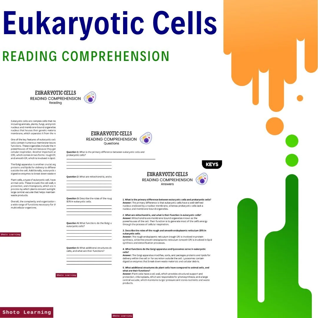 Eukaryotic Cell Matching Worksheet – Organelles & Functions