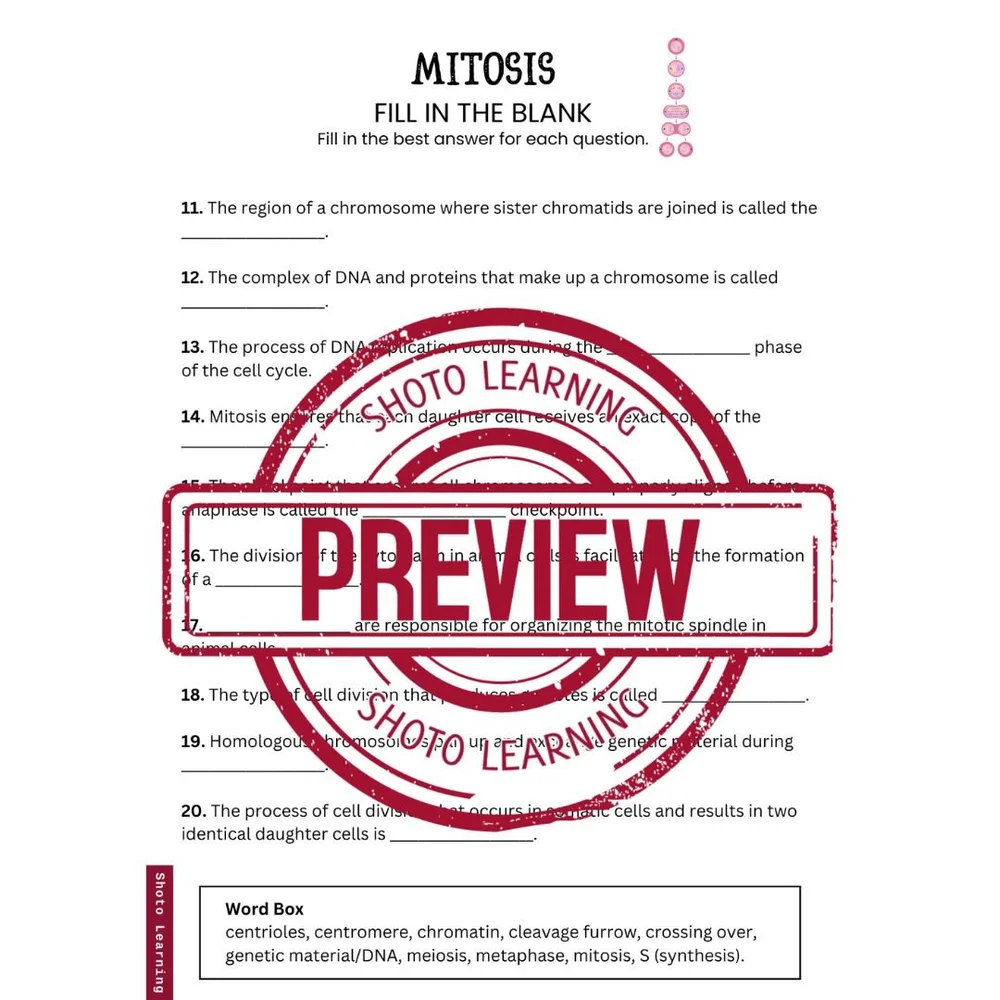 Unveiling Mitosis Poster - Educational Cell Division Chart
