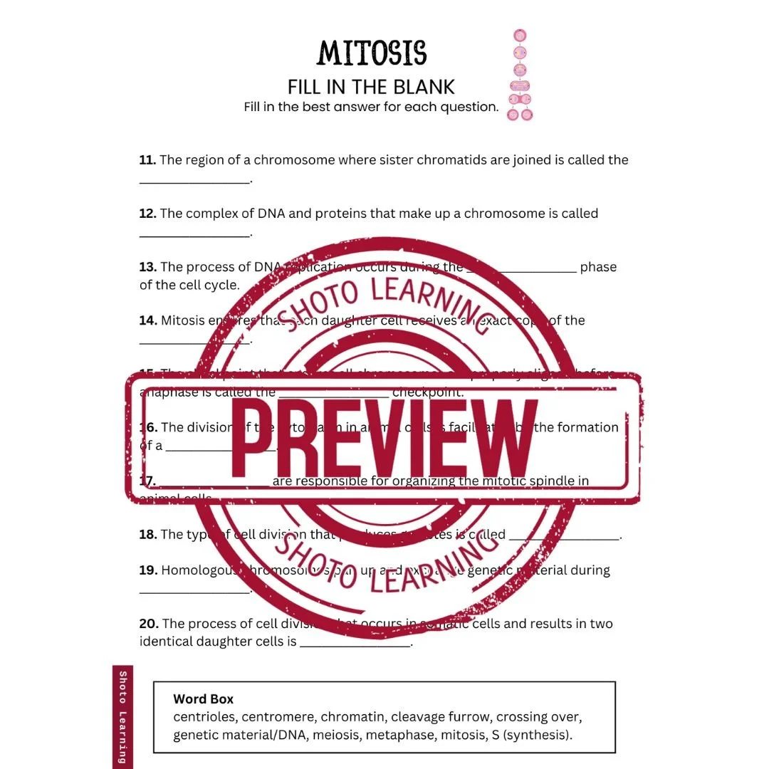 Unveiling Mitosis Poster - Educational Cell Division Chart