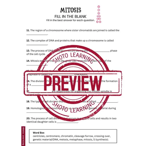 Unveiling Mitosis Poster - Educational Cell Division Chart