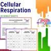 Cellular Respiration Missing Letters Worksheets – 20 Key Terms