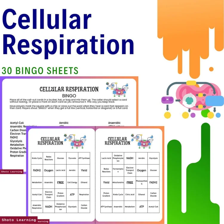 Cellular Respiration Assignment Pack – 10 Essential Questions