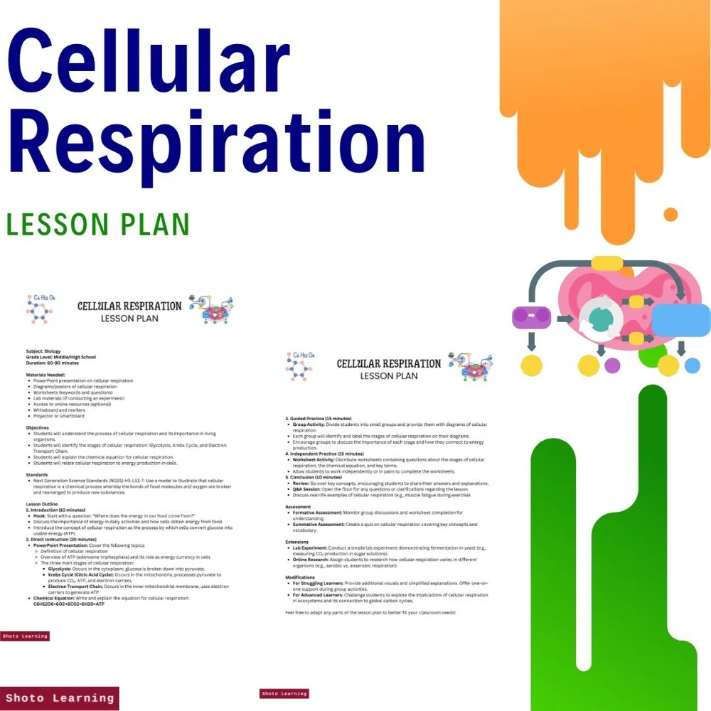 Cellular Respiration Label Worksheet | Word Box & Answer Key
