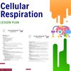 Cellular Respiration Label Worksheet | Word Box & Answer Key