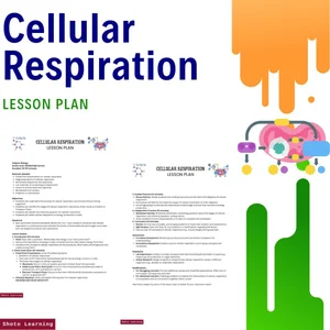 Cellular Respiration Label Worksheet | Word Box & Answer Key