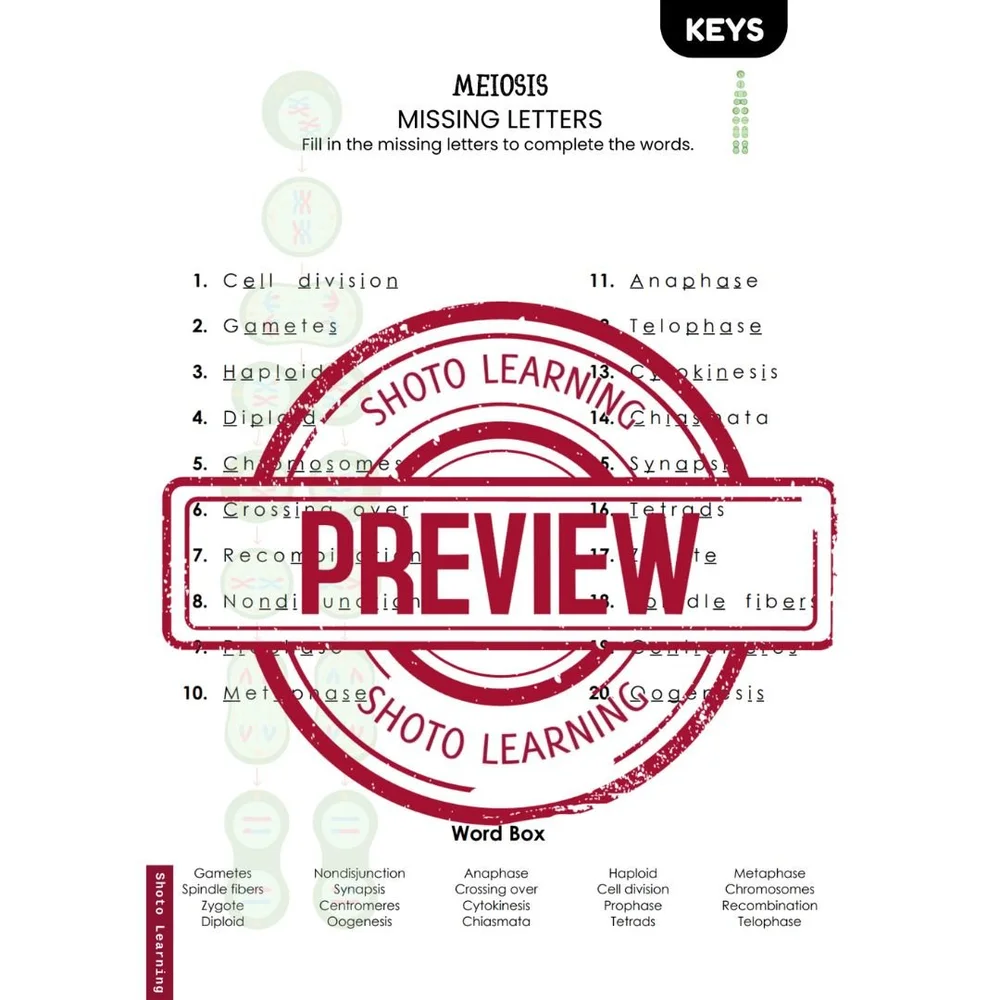 Meiosis Worksheet: 20 Fill-in-the-Blank Questions + Answer Key