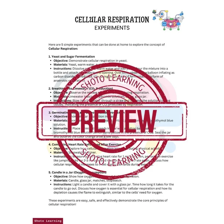 Cellular Respiration Label Worksheet | Word Box & Answer Key