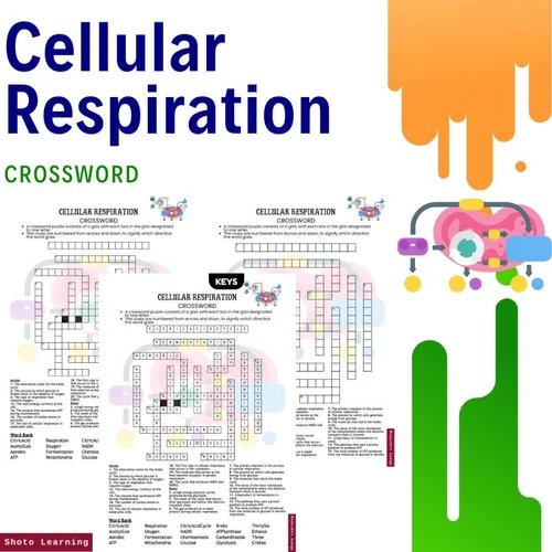Cellular Respiration Label Worksheet | Word Box & Answer Key