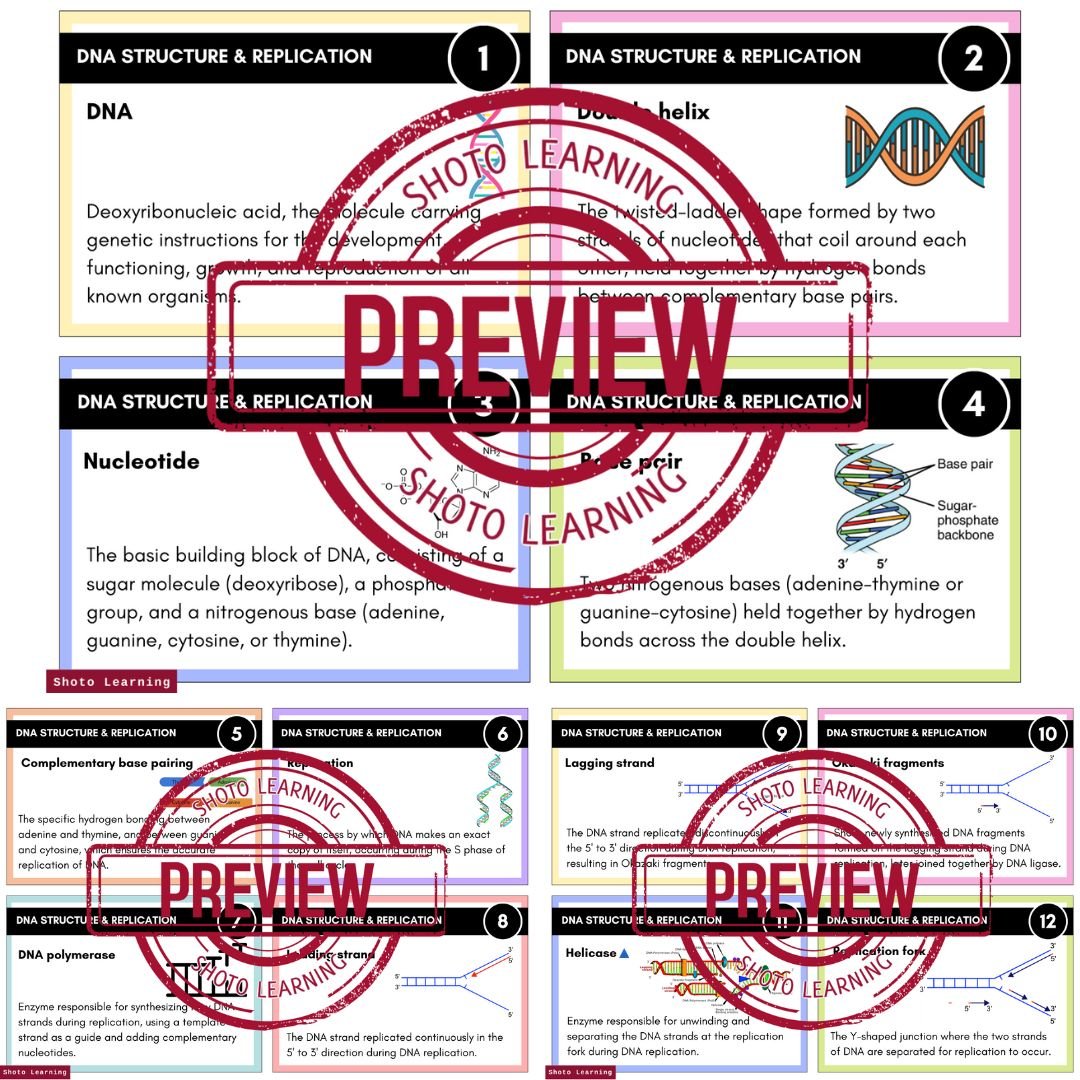 DNA Structure Worksheet: Engaging Exercises with Answers