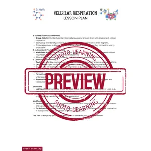 Cellular Respiration Label Worksheet | Word Box & Answer Key