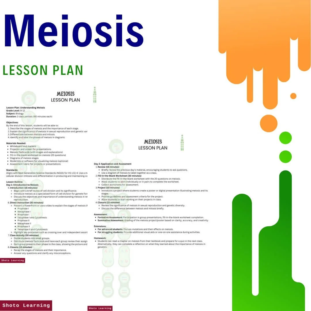 Meiosis Process Poster – Visual Cell Division Guide | PDF Download