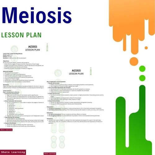 Meiosis Process Poster – Visual Cell Division Guide | PDF Download