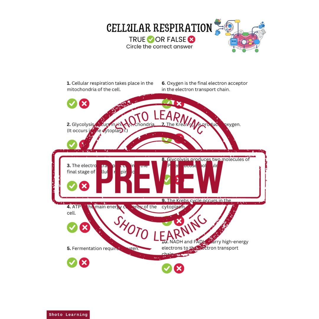 Cellular Respiration ABC Order Worksheets – 21 Key Terms & Answer Key