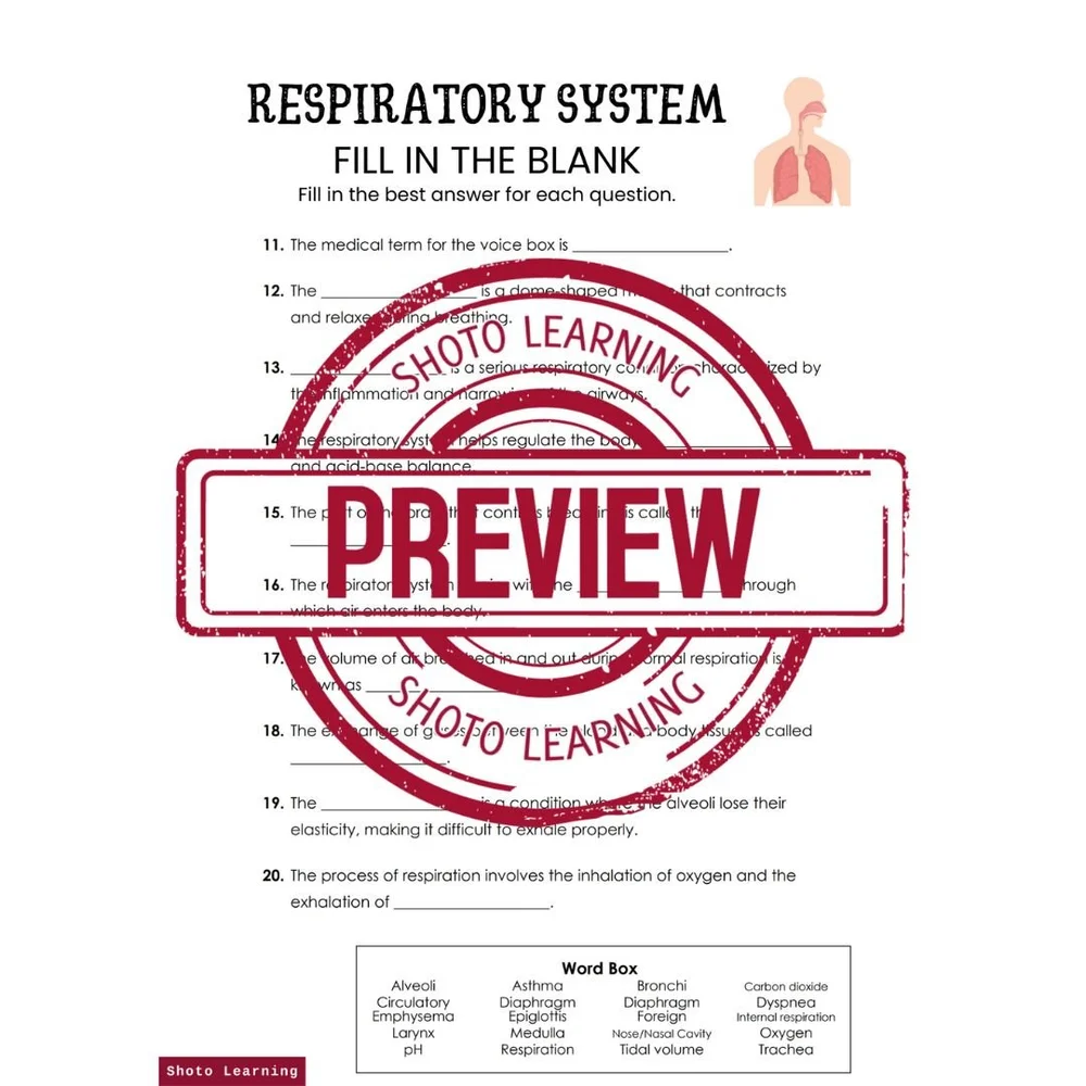 Respiratory System Poster: Learn Anatomy & Function | Free Download