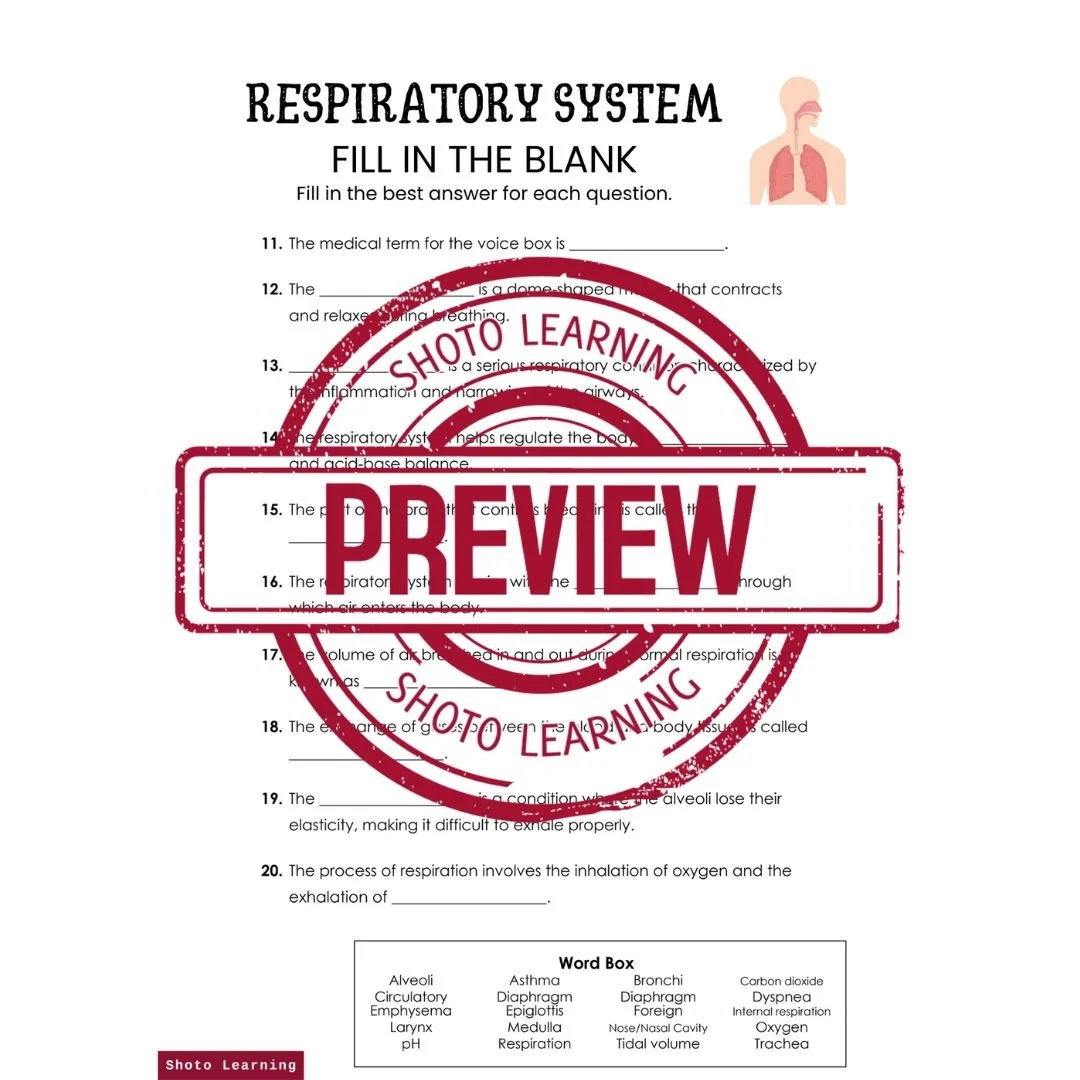 Respiratory System Diagram: Fill in the Blanks and Learn