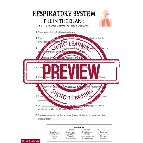 Respiratory System Poster: Learn Anatomy & Function | Free Download