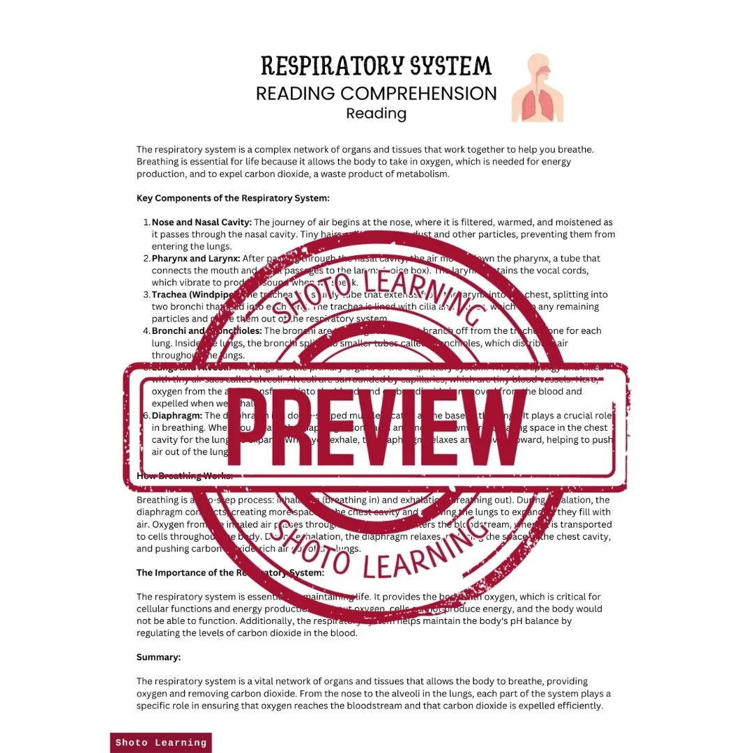 Respiratory System Diagram: Fill in the Blanks and Learn