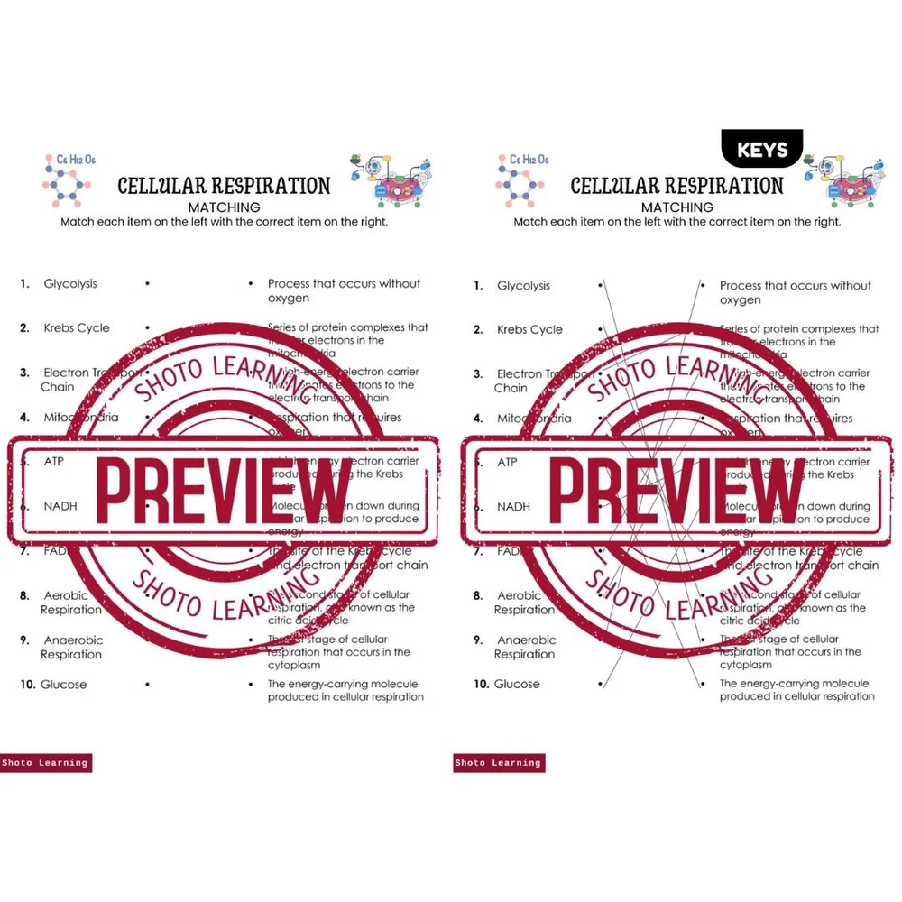 Cellular Respiration Writing Prompts & Answers – 10 Questions