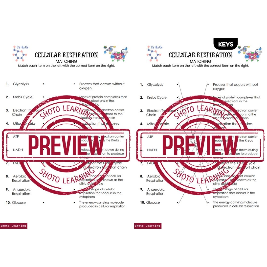 Cellular Respiration Label Worksheet | Word Box & Answer Key