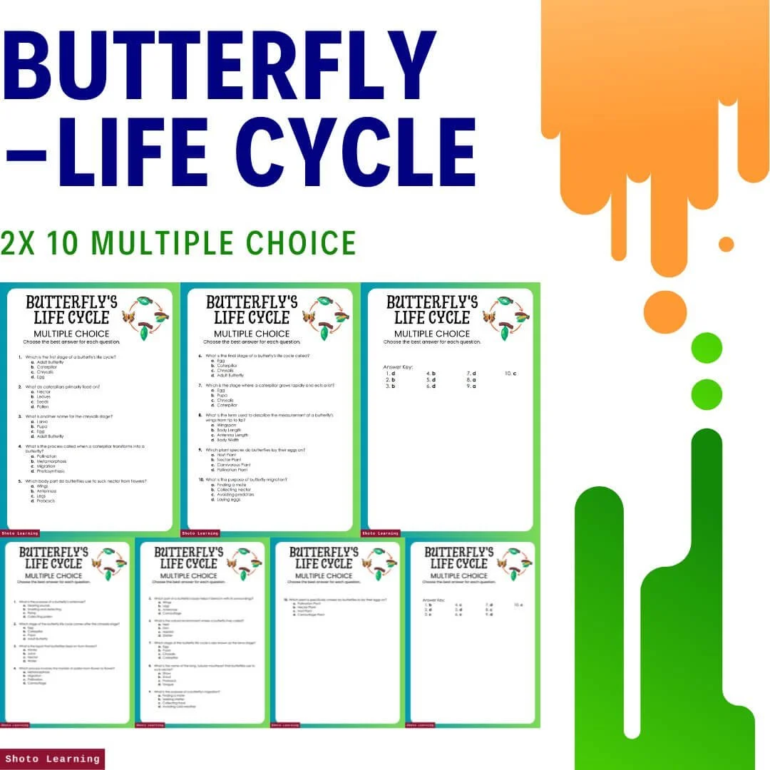 B is for Butterfly: ABC Order Worksheet on Butterfly Life Cycle