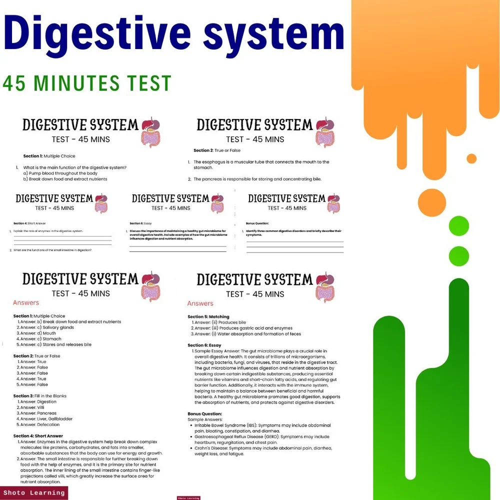 Digestive System Reading Comprehension with Key Questions