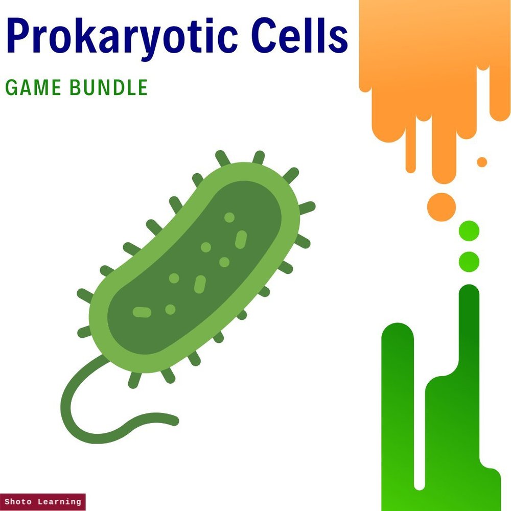 Prokaryotic Cell Q&A Mastery: 20 Questions & Answers