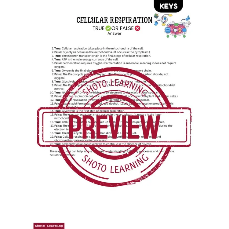 Cellular Respiration Debate Pack – 10 Debates + Answers Included