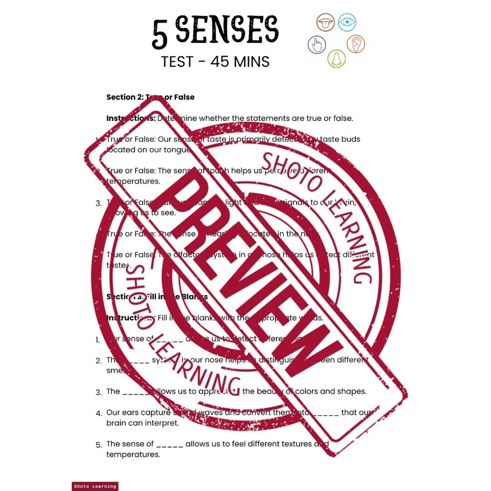 Five Senses Word Search Puzzle - Fun Science Activity for Kids