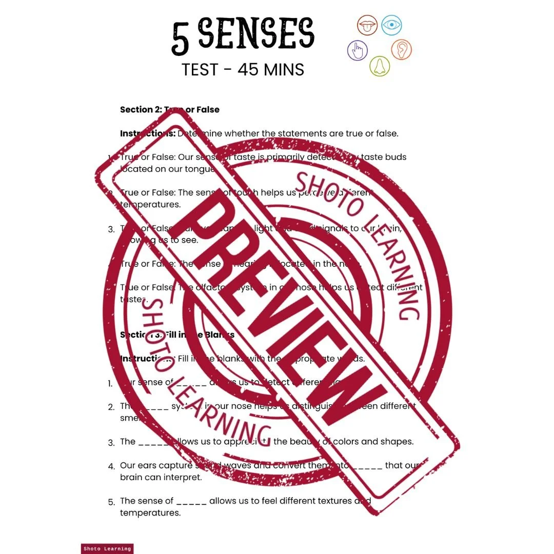 Five Senses Word Search Puzzle - Fun Science Activity for Kids