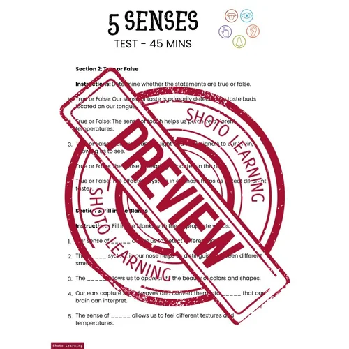 Five Senses Word Search Puzzle - Fun Science Activity for Kids