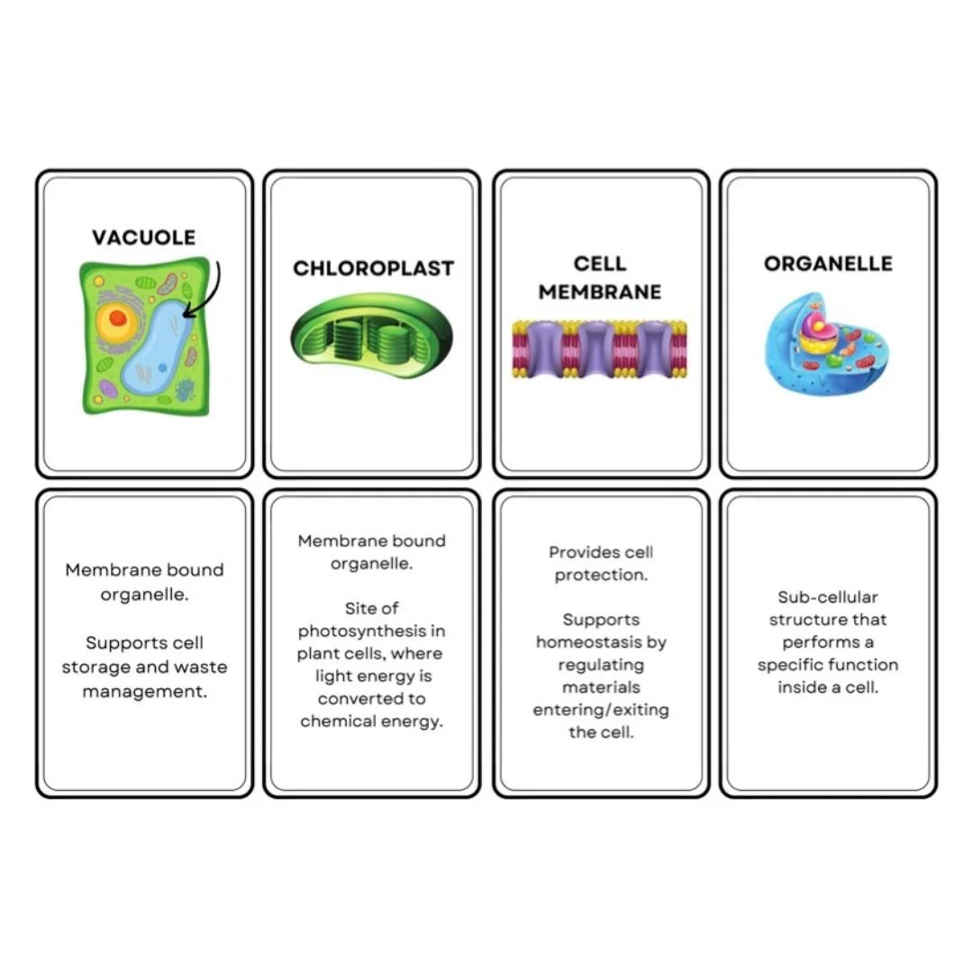 Mastering Cell Membranes: Interactive PowerPoint & Resources