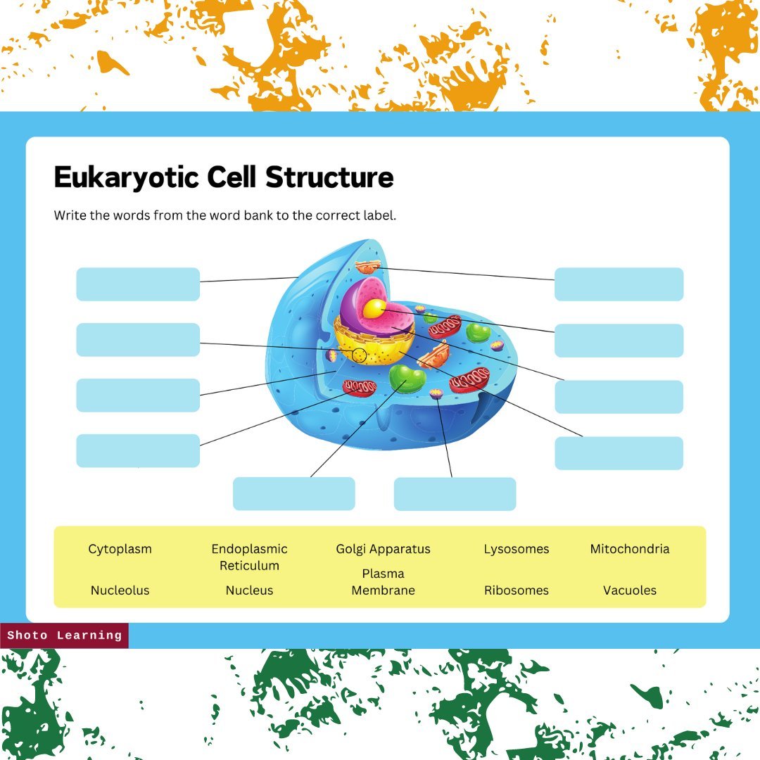 Cell Organelles Word Search Puzzle – Fun Cellular Biology Learning