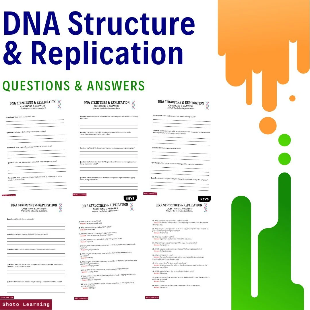 DNA Structure Worksheet: Engaging Exercises with Answers
