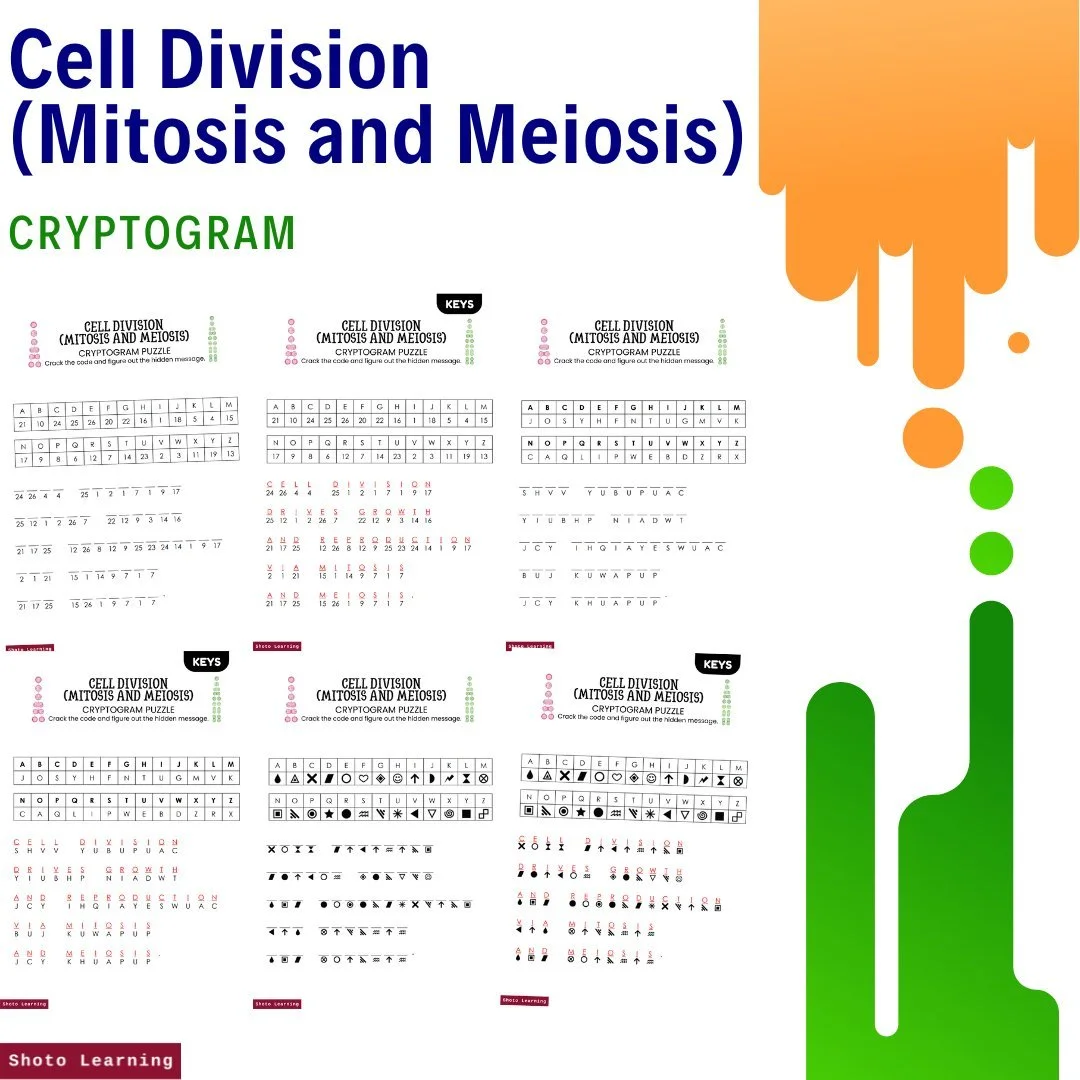 Mitosis vs Meiosis Poster: Visual Guide to Cell Division