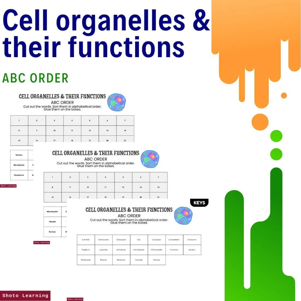 Cell Organelles Flashcards: Learn Key Biology Terms Quickly