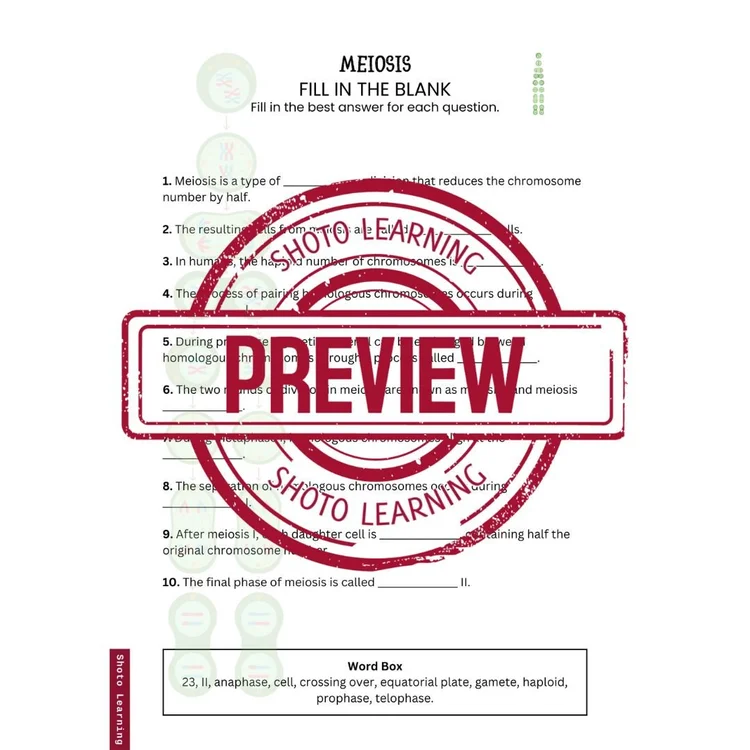 Meiosis Process Poster – Visual Cell Division Guide | PDF Download