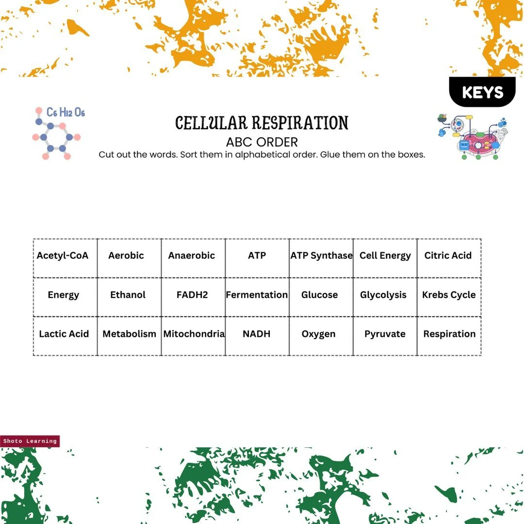 Cellular Respiration Label Worksheet | Word Box & Answer Key